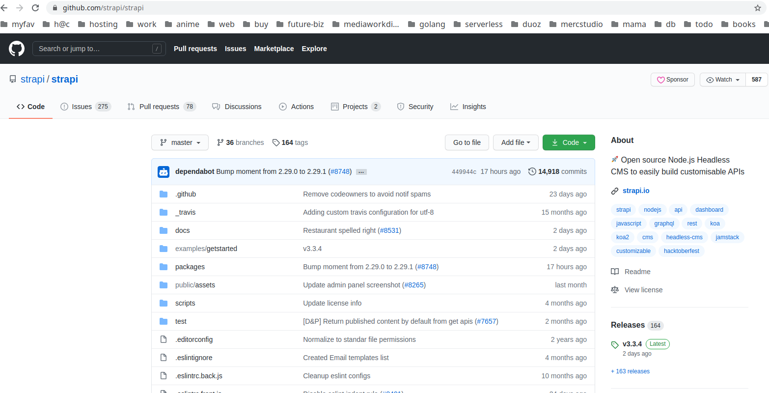 Build a website and app fast! StrapiJS development
